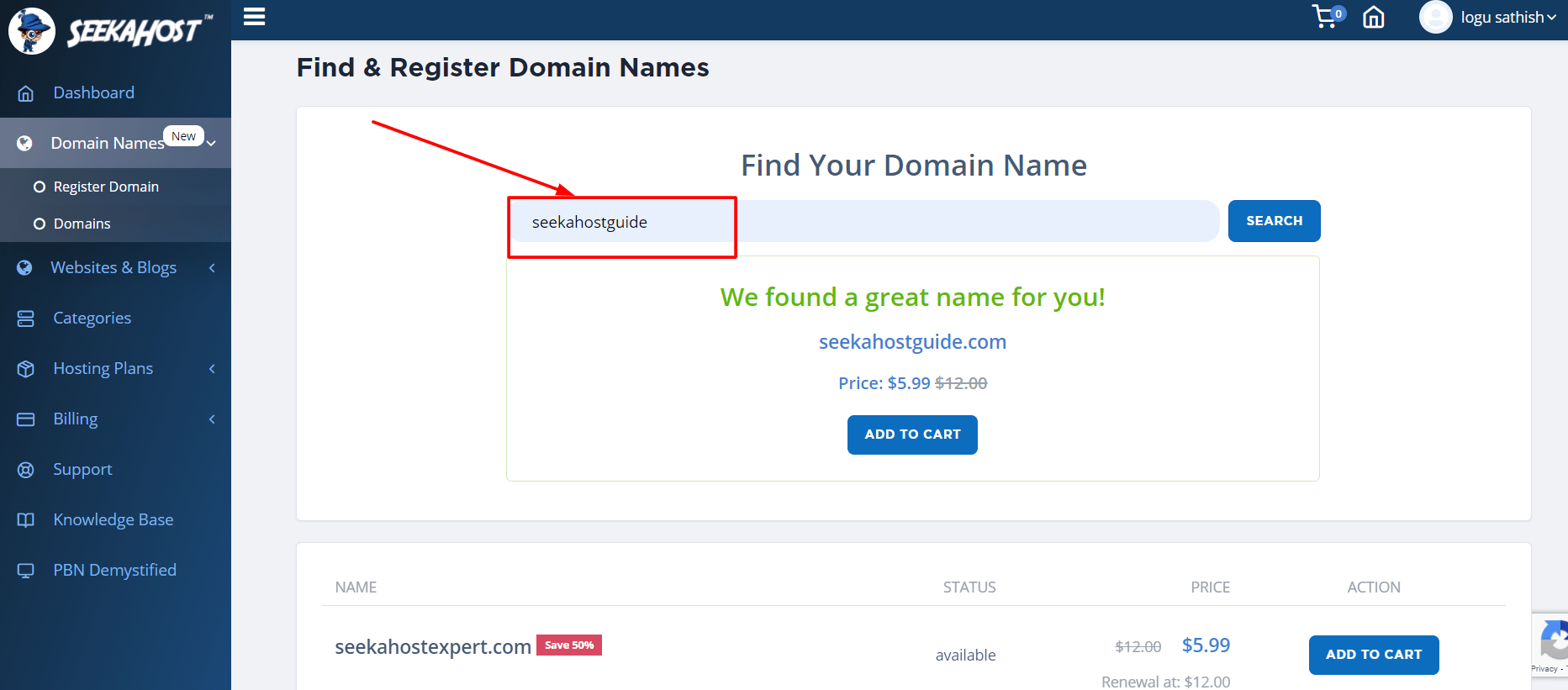 How To Buy A Domain Name And Host It With Seekahost In SeekaPanel ...